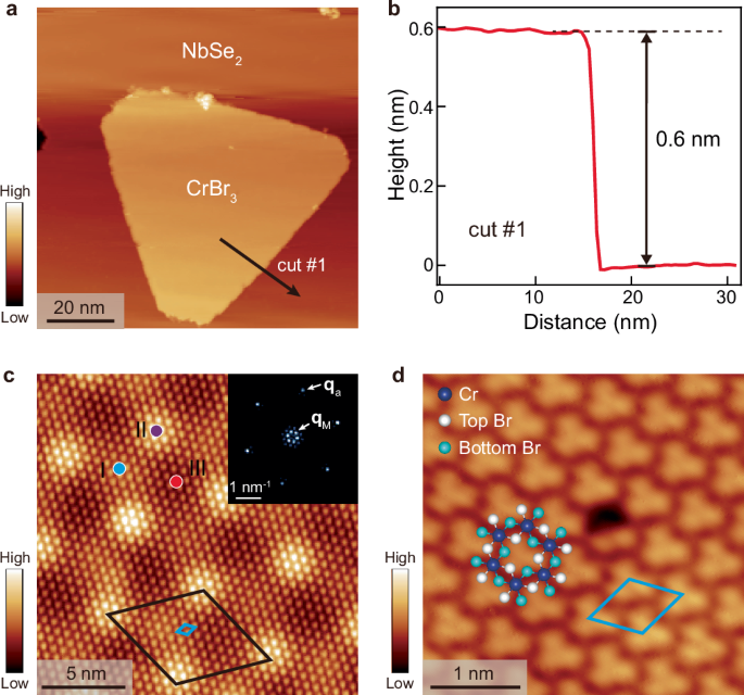 Observation of Yu-Shiba-Rusinov-like states at the edge of CrBr3/NbSe2 ...