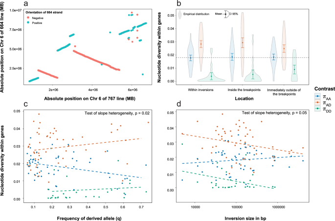 Testing the evolutionary theory of inversion polymorphisms in the ...