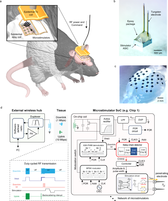 Patterned electrical brain stimulation by a wireless network of ...