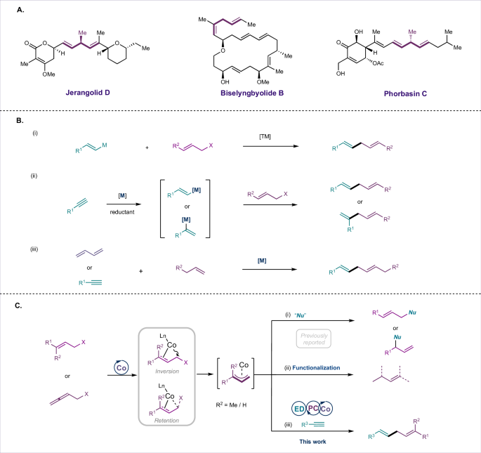 Reductive coupling of allenyl/allyl carbonate with alkyne under dual ...
