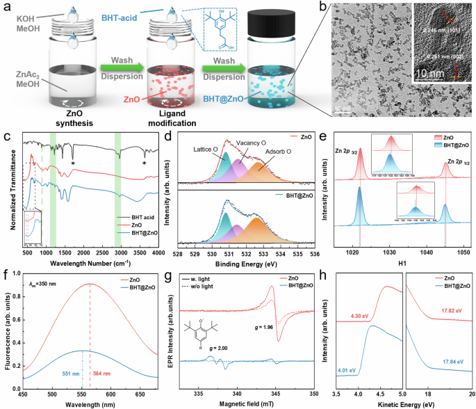 19.5% Inverted organic photovoltaic with record long-lifetime via ...