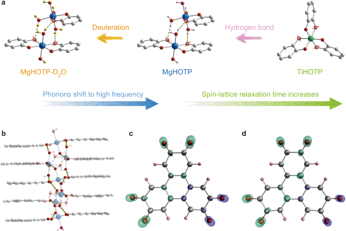 Phononic modulation of spin-lattice relaxation in molecular qubit ...