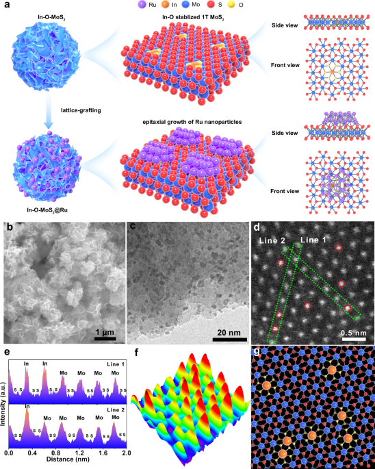 P-block element modulated 1 T phase MoS2 with Ru lattice grafting for ...