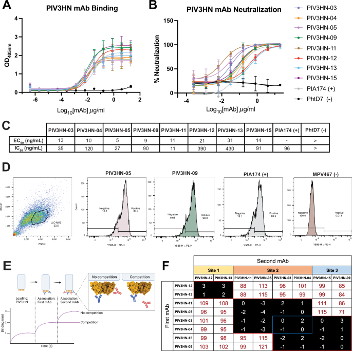 The structural basis of protective and nonprotective human monoclonal antibodies targeting the ...