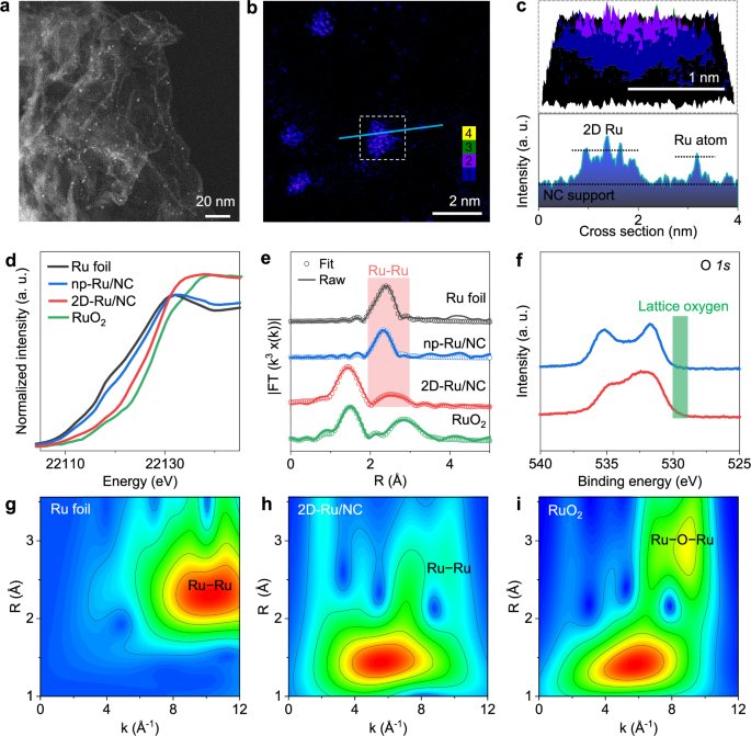 Ampere-level reduction of pure nitrate by electron-deficient Ru with K+ ...