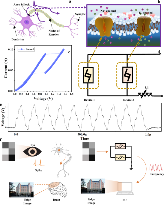 Ultra robust negative differential resistance memristor for hardware ...