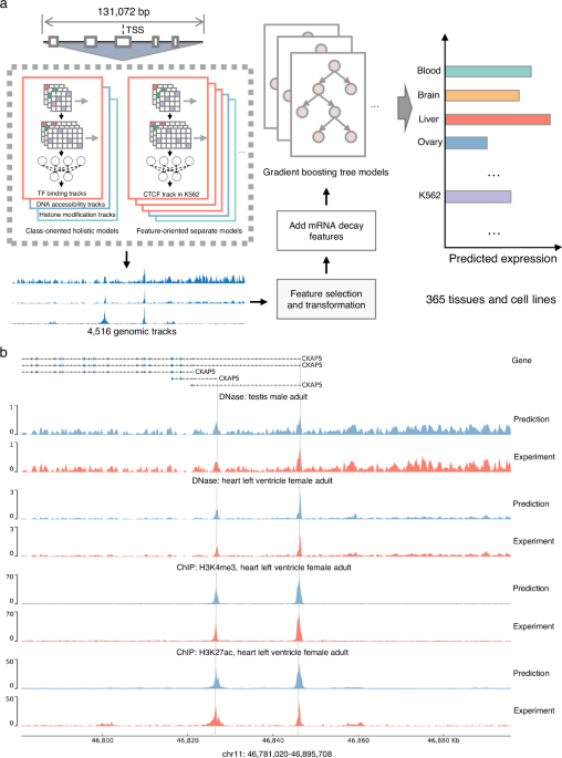 Quantifying the regulatory potential of genetic variants via a hybrid sequence-oriented model ...