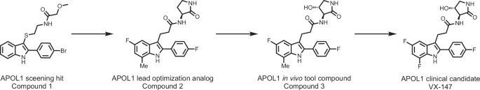 Small molecule APOL1 inhibitors as a precision medicine approach for ...