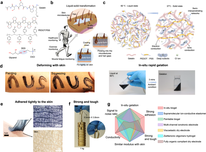 Robust skin-integrated conductive biogel for high-fidelity detection ...