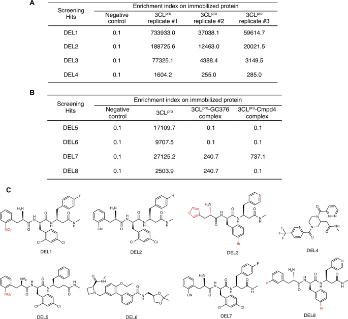 Development of small molecule non-covalent coronavirus 3CL protease ...