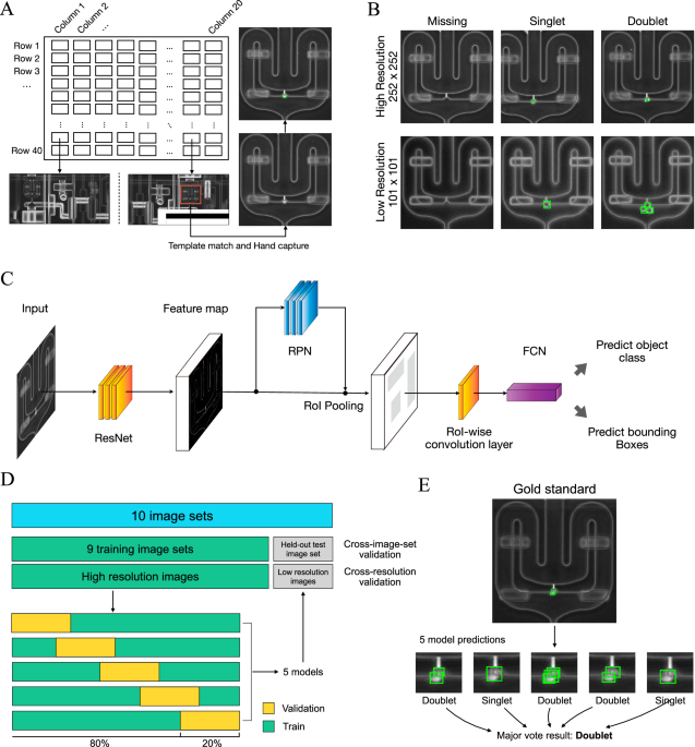 ImageDoubler: image-based doublet identification in single-cell ...