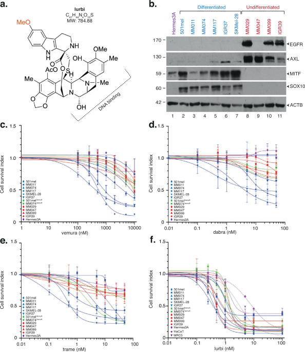 Pan-inhibition of super-enhancer-driven oncogenic transcription by next ...