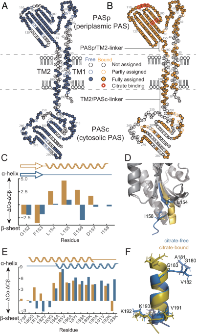 Mechanism of sensor kinase CitA transmembrane signaling | Nature ...
