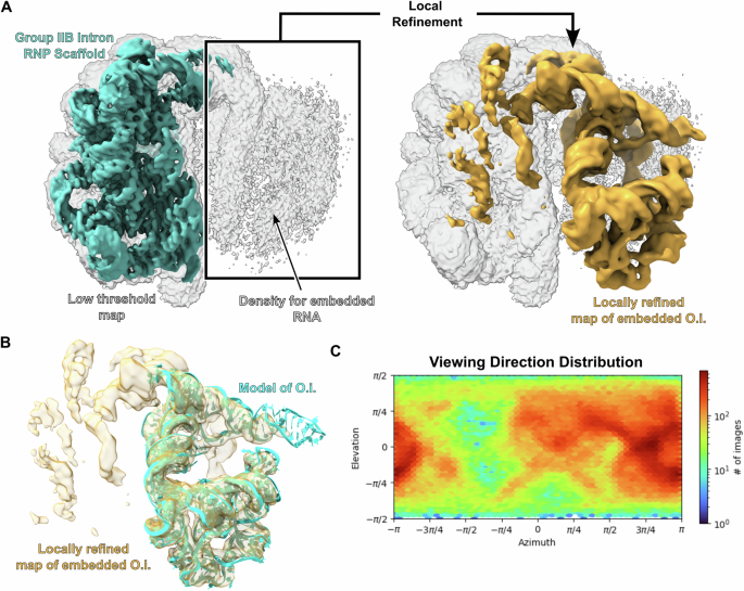 Scaffold-enabled high-resolution cryo-EM structure determination of RNA ...