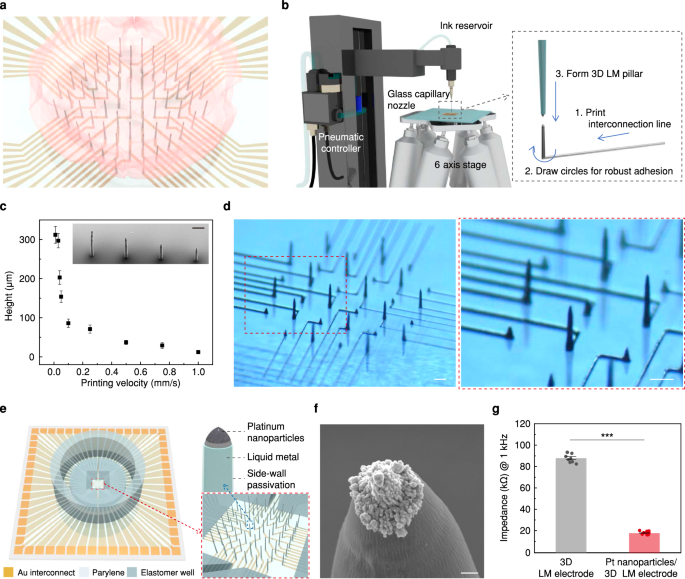 Magnetically reshapable 3D multi-electrode arrays of liquid metals for ...