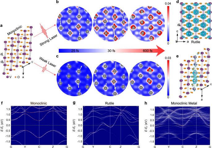 Photoinduced hidden monoclinic metallic phase of VO2 driven by local ...