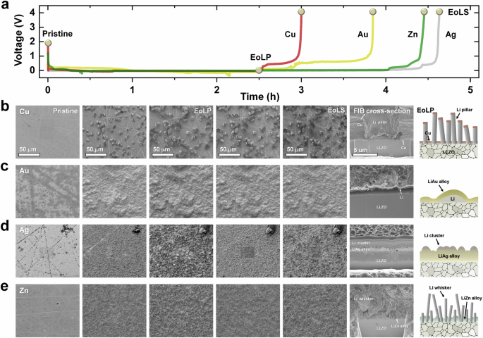 Mechanism of stable lithium plating and stripping in a metal-interlayer ...