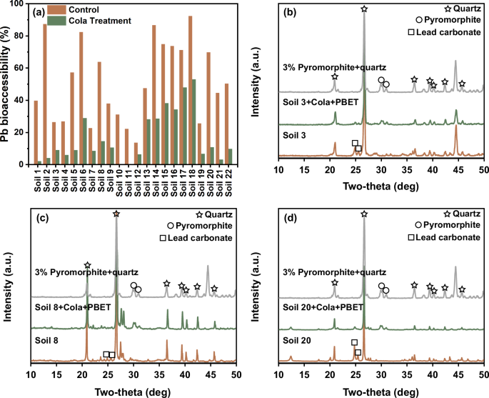 Cola beverage reduces risk of lead poisoning from accidental ingestion ...