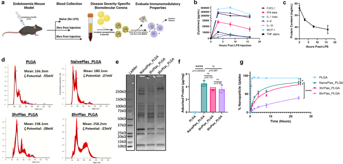 Inflammatory disease progression shapes nanoparticle biomolecular ...