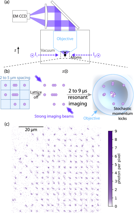 Fast single atom imaging for optical lattice arrays | Nature Communications