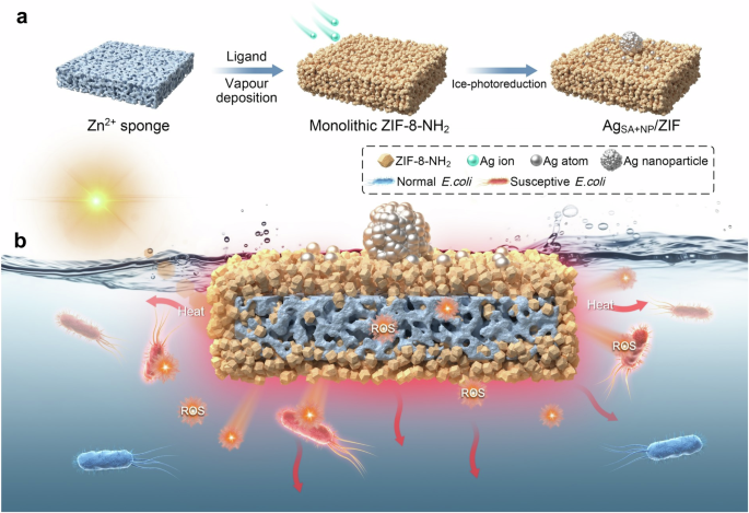 Silver single atoms and nanoparticles on floatable monolithic ...