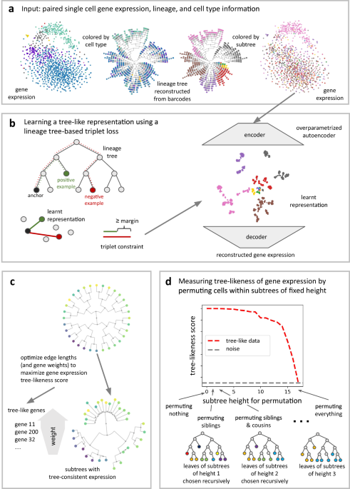 Integrating representation learning, permutation, and optimization to ...
