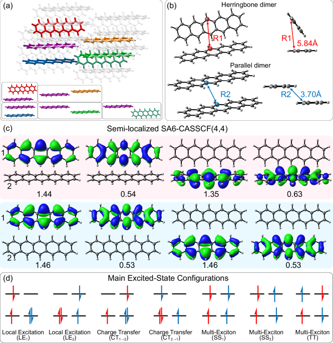 Machine learning photodynamics decode multiple singlet fission channels ...