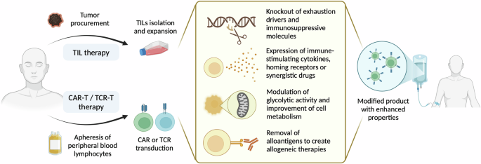 Unlocking the potential of engineered immune cell therapy for solid ...