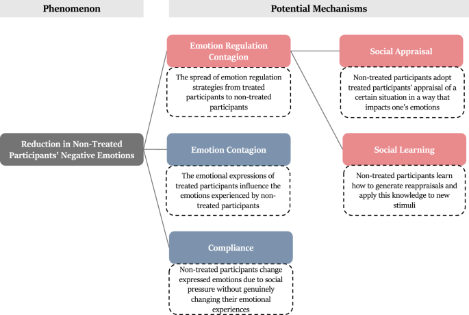 Emotion regulation contagion drives reduction in negative intergroup ...