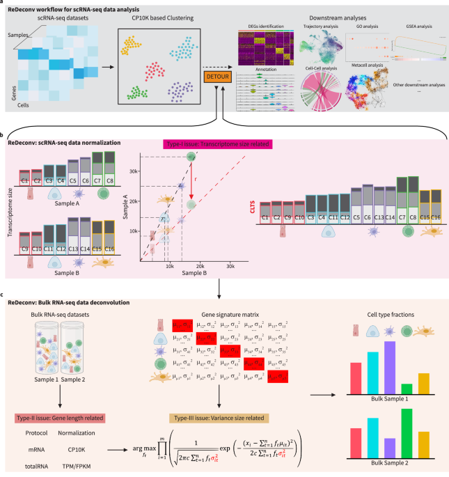 Transcriptome size matters for single-cell RNA-seq normalization and bulk deconvolution | Nature ...