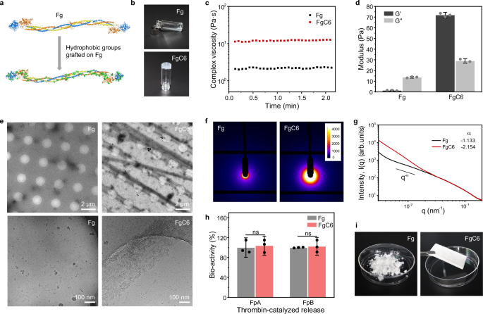 Molecular self-assembly strategy tuning a dry crosslinking protein ...