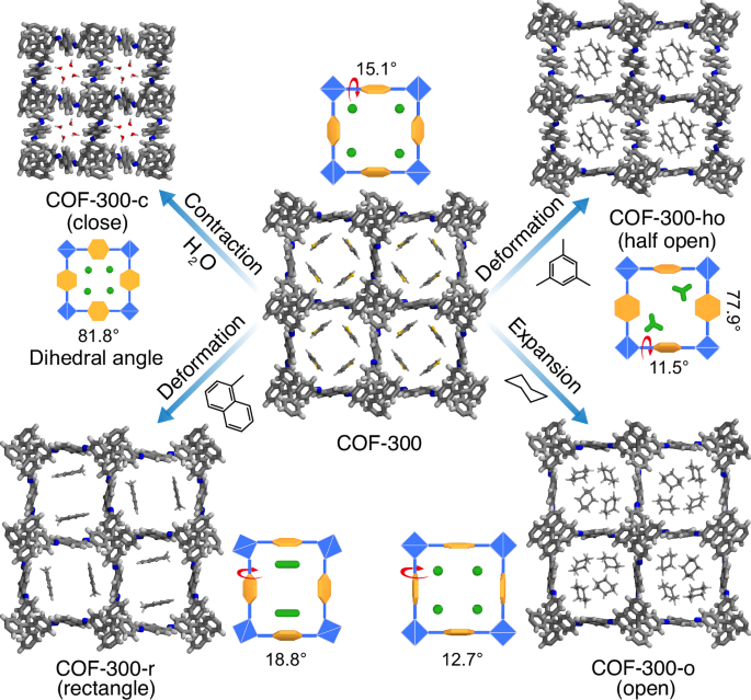 Guest-induced structural transformation of single-crystal 3D covalent ...