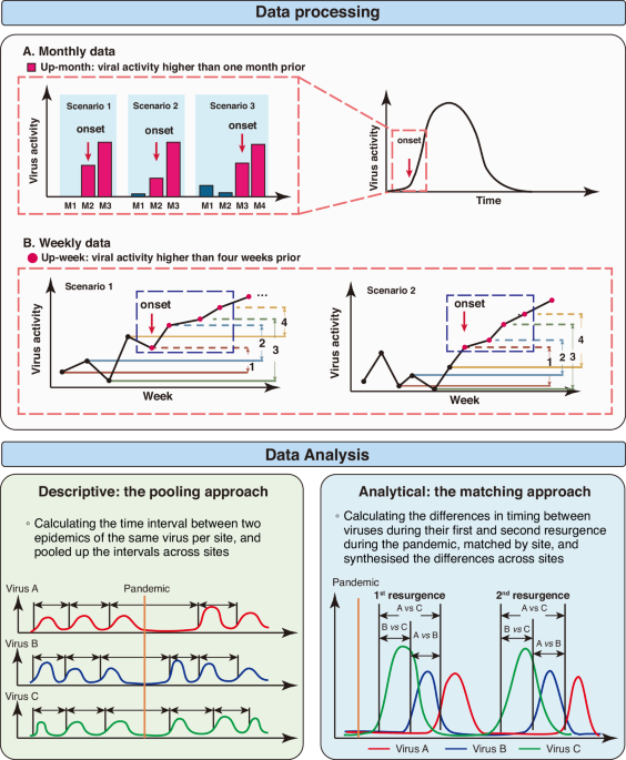 Characterising the asynchronous resurgence of common respiratory viruses following the COVID-19 ...