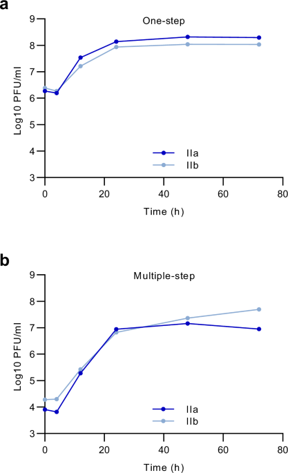 Strong and early monkeypox virus-specific immunity associated with mild ...