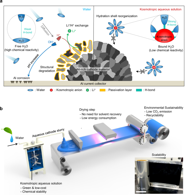 Kosmotropic aqueous processing solution for green lithium battery ...