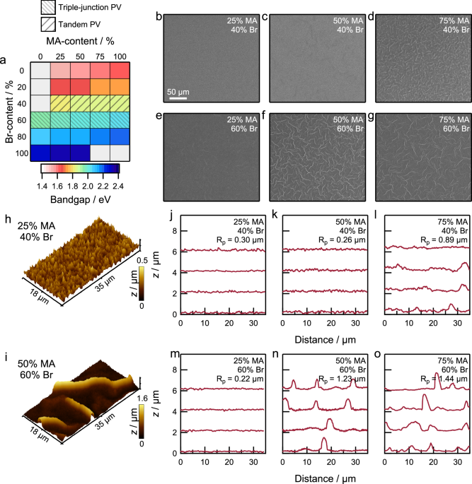 Local halide heterogeneity drives surface wrinkling in mixed-halide ...