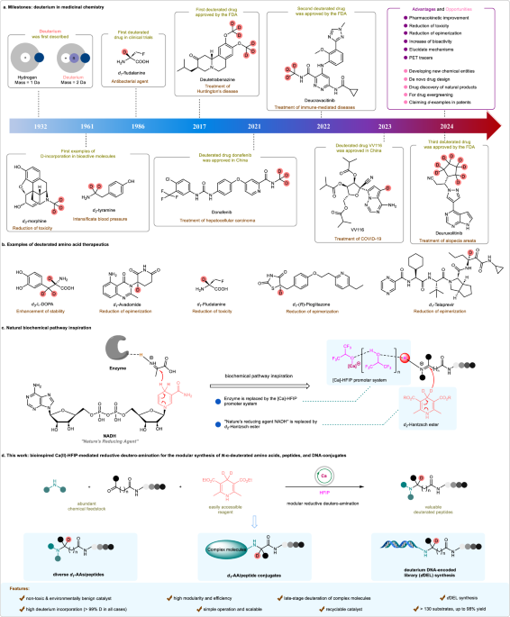 Access to N-α-deuterated amino acids and DNA conjugates via Ca(II)-HFIP ...