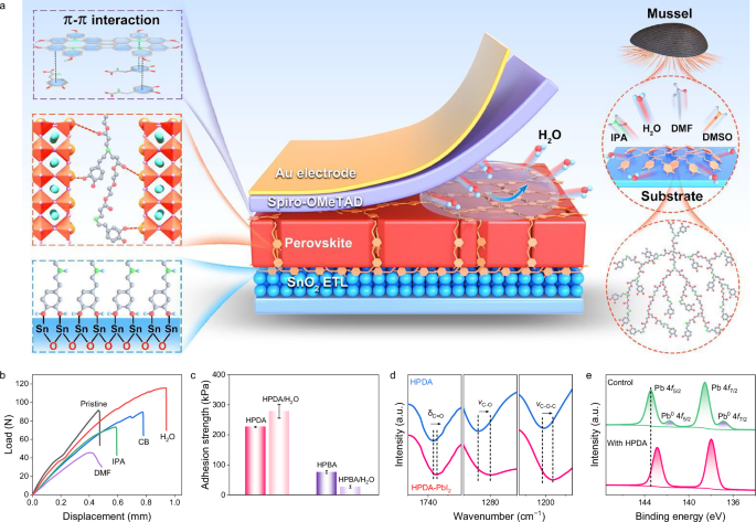 Boosting mechanical durability under high humidity by bioinspired ...