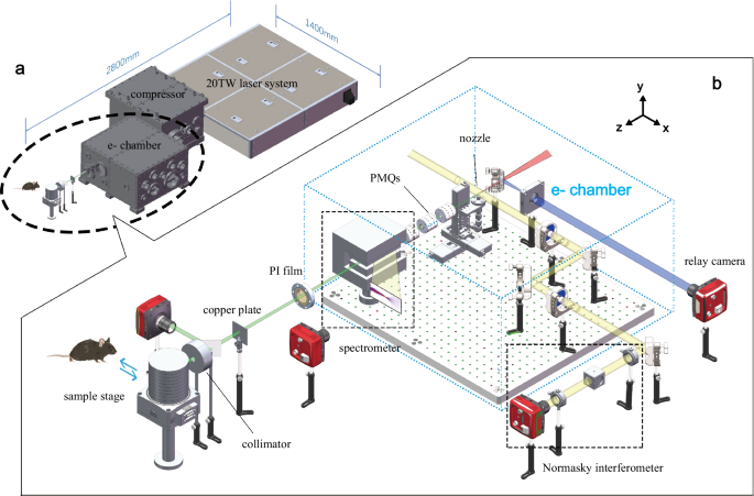 Preclinical Tumor Control With A Laser Accelerated High Energy Electron Radiotherapy Prototype