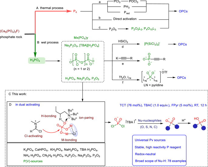 Direct conversion of various phosphate sources to a versatile P-X ...