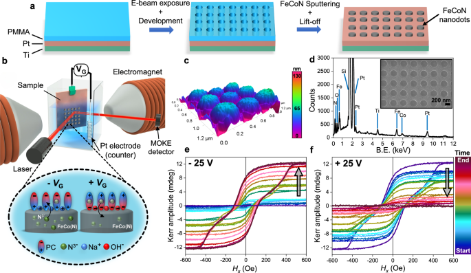Magneto-ionic vortices: voltage-reconfigurable swirling-spin analog ...
