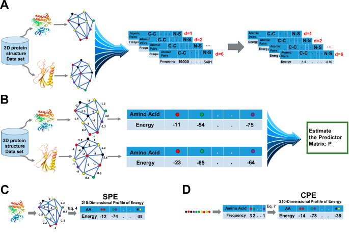 A fast approach for structural and evolutionary analysis based on ...