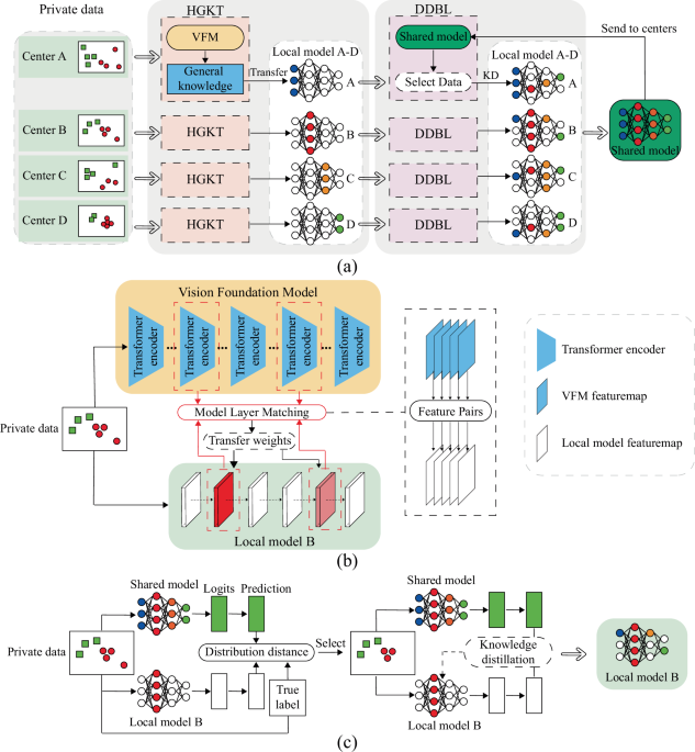 General lightweight framework for vision foundation model supporting ...