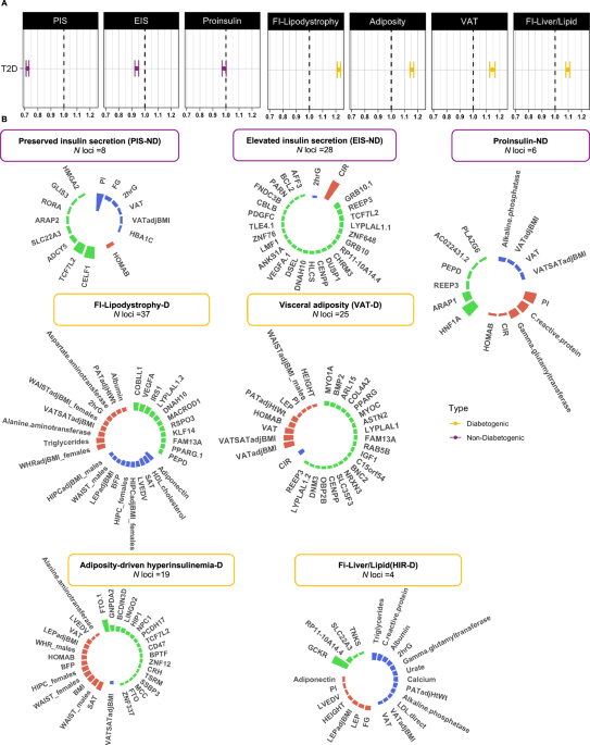 Heterogeneous effects of genetic variants and traits associated with ...