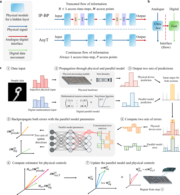 Asymmetrical estimator for training encapsulated deep photonic neural networks | Nature ...