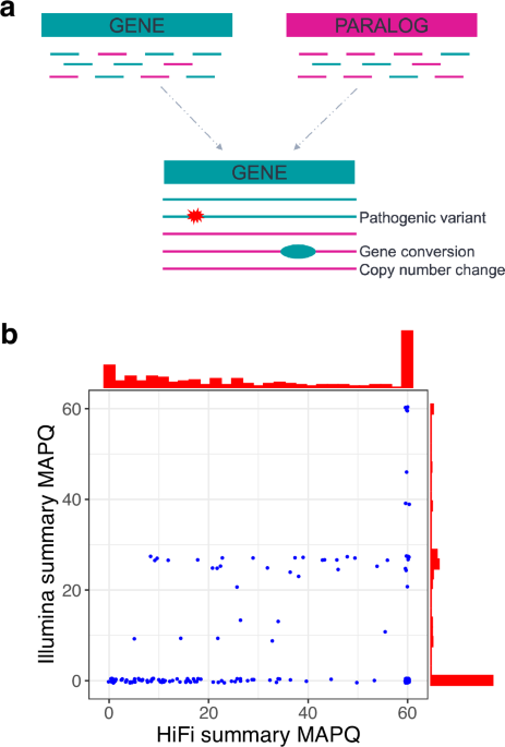 Genome-wide profiling of highly similar paralogous genes using HiFi ...