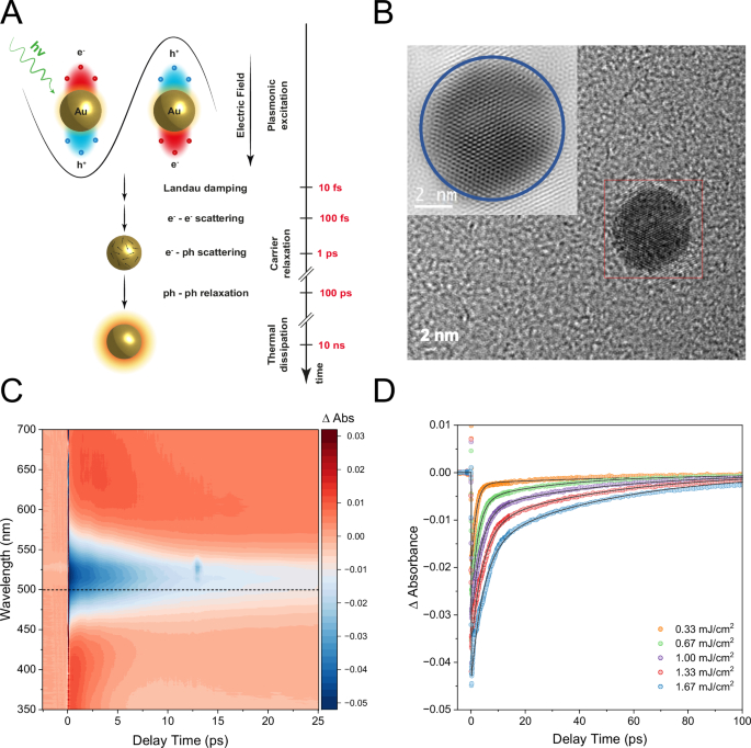 The dynamics of plasmon-induced hot carrier creation in colloidal gold | Nature Communications