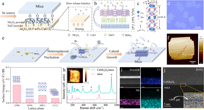 2D edge-seeded heteroepitaxy of ultrathin high-κ dielectric CaNb2O6 for ...
