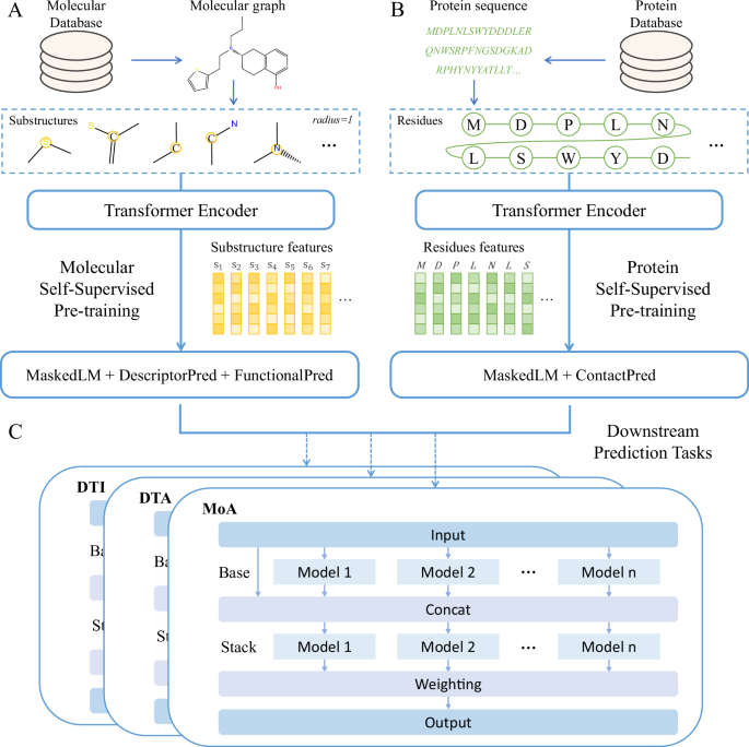 DTIAM: a unified framework for predicting drug-target interactions, binding affinities and drug ...