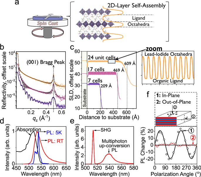 Spin switchable optical phenomena in Rashba band structures through ...